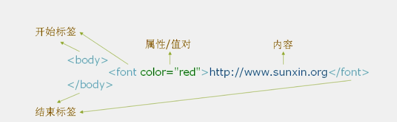 Aspnet基础之html入门 Csdn博客 