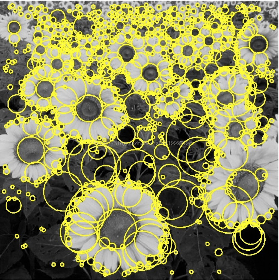 Opencv2马拉松第20圈——blob特征检测原理与实现opencvsharp Blob Csdn博客 