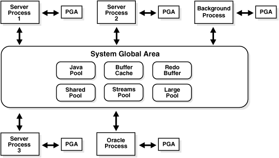 Oracle数据库内存体系 Sga Csdn博客 