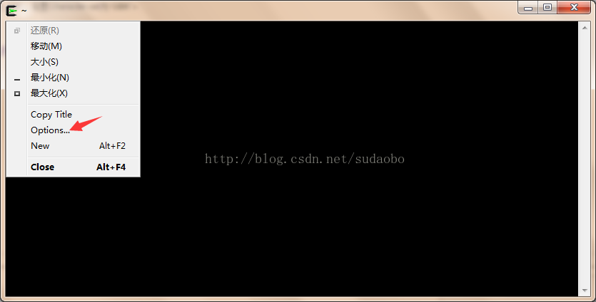 Cygwin配置中文环境 Csdn博客 