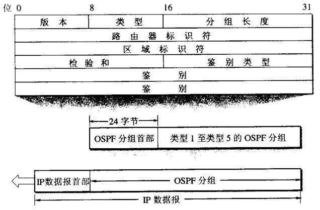 深入理解动态选路协议——rip、ospf和bgp协议在直接选路和间接选路增加什么协议 Csdn博客 