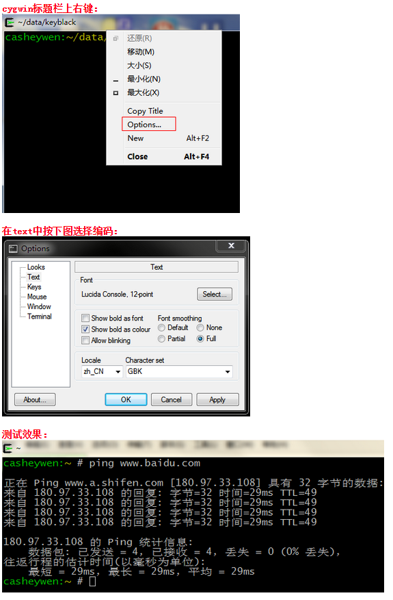 Cygwin编码设置修复调用ping等windows自带命令乱码windows10的ping工具乱码 Csdn博客