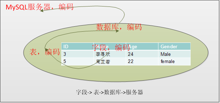Mysql字符集以及校对规则b显示gb2312字符集的校对原则 Csdn博客 