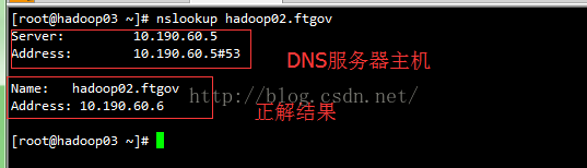 【linux】安装dns域名解析服务 Linux离线安装dns域名解析 Csdn博客