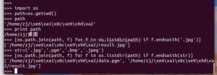 Python Strreplace Strendswith 以及 Python语句返回目录中所有图像的文件名列表返回目录中所有 图像的文件名列 Csdn博客 