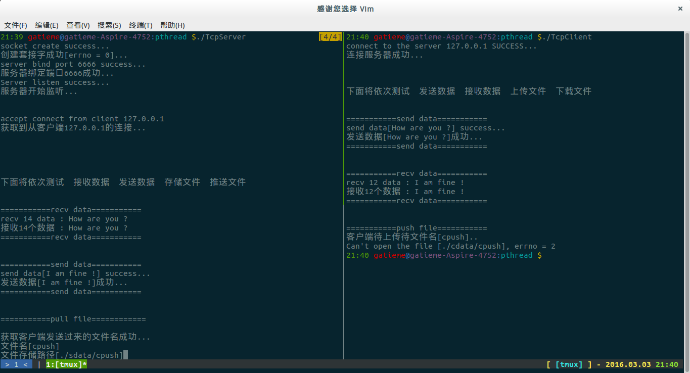 Linux下套接字详解（六） 基于pthread的多线程的tcp套接字（阻塞同步并发）linux使用套接字实现tcp客户端阻塞接收 Csdn博客