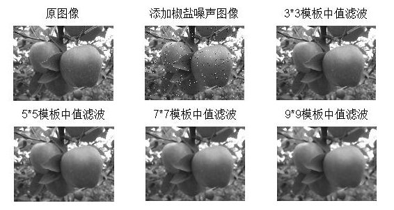 Matlab简单图像预处理matlab实现图像预处理的很多方法 Csdn博客
