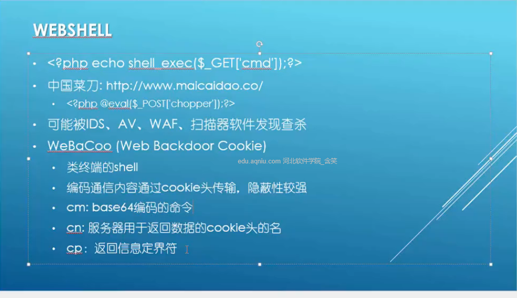 kali webshell_kali连接webshell-CSDN博客