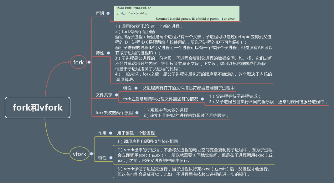 《unix环境高级编程》（fork和vfork）sunos Vfork Fork Csdn博客 