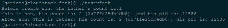 Linux中fork，vfork和clone详解（区别与联系） Csdn博客 