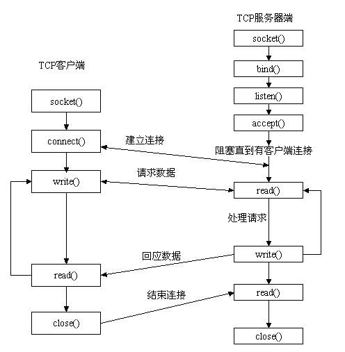 Socket编程（c语言实现）——tcp协议（网络间通信afinet）的流式（sockstream）报式（sockdgram）传输【多线程循环监听】tcp Spcket C Csdn博客