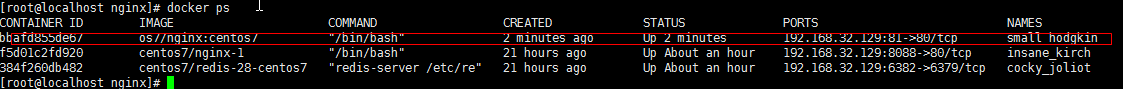 Centos7 Docker Nginx部署及运行centos Docker Nginx 已经启动但是访问不了 Csdn博客 