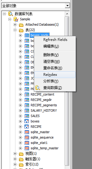 SqliteDeveloper使用方法及注册_sqlite developer license-CSDN博客