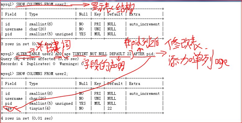 Mysql入门——数据表的修改1：往指定表中添加单列（字段）单独插入表字段 Csdn博客