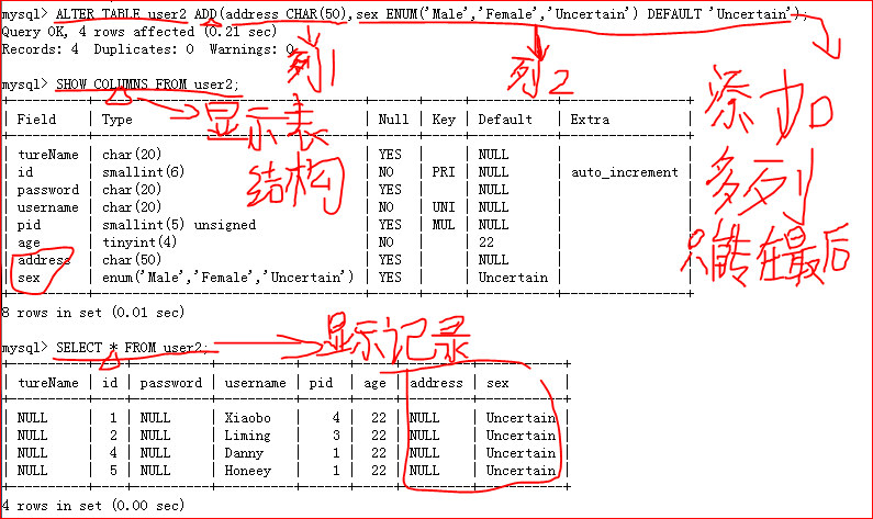 Mysql入门——修改数据表2：往指定的表中添加多列数据（字段）使用命令在表中增加产地、大类两列 Csdn博客