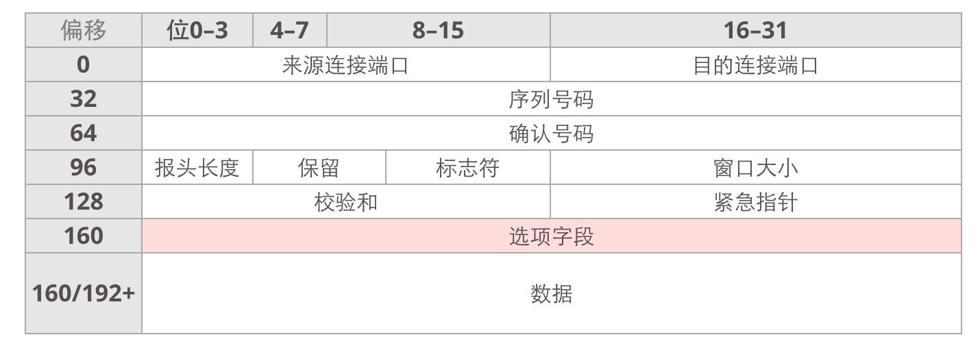 Linux网络编程：tcp Socket通信的基本用法linux Tcp6 Udp17 Csdn博客