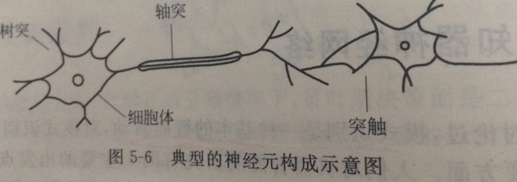模式识别（pattern Recognition）学习笔记（十八） 感知器与神经网络什么是ann Csdn博客 2477