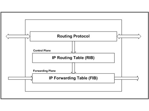 Routing Table (RIB) and Transfer (FIB) - Programmer Sought