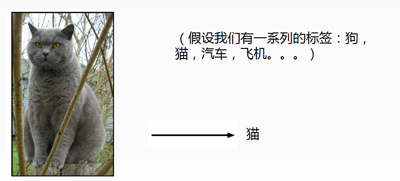 深度学习入门视频课程学习笔记01 Csdn博客