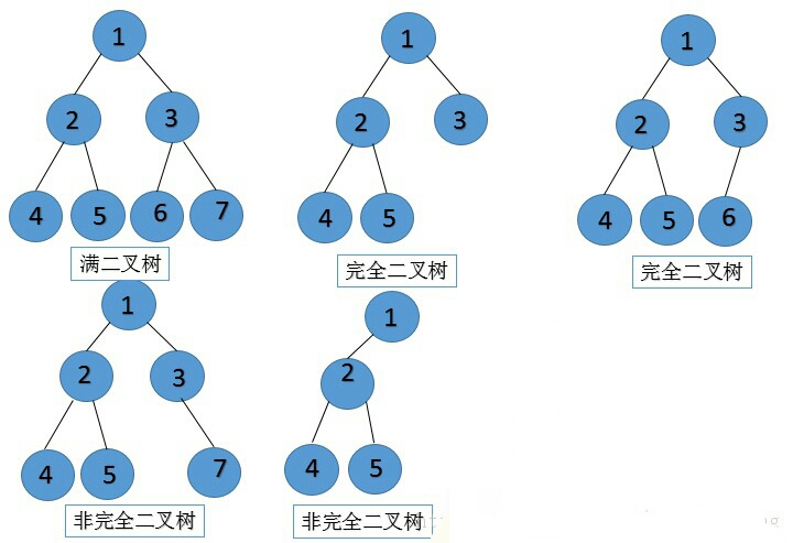 二叉树详解：定义、遍历与操作 Csdn博客 