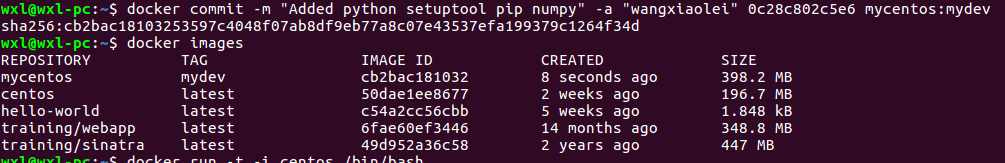 创建python数据分析的docker镜像docker自定义镜像commitdockerfile方式解析pullpushrmi操作python Docker Commit Csdn博客 1391