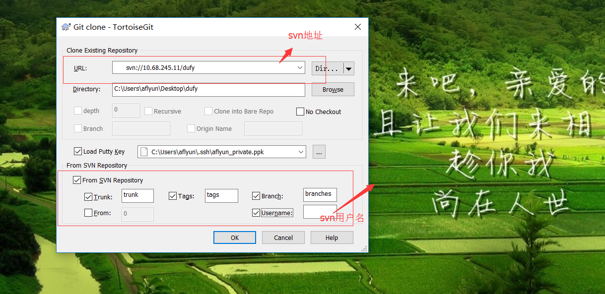 Svn——svn项目迁移到gitsvn迁移git Csdn博客