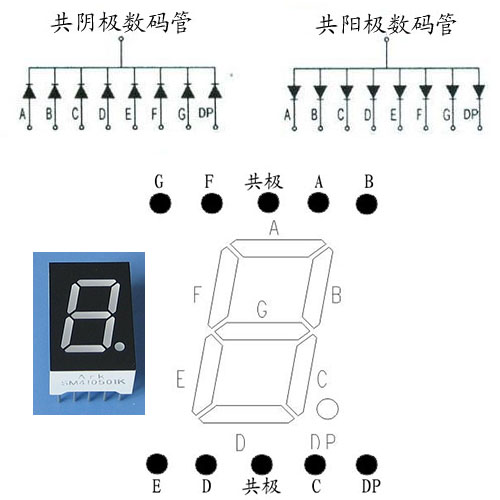Arduino 单位数码管实验arduino单位数管吗 Csdn博客