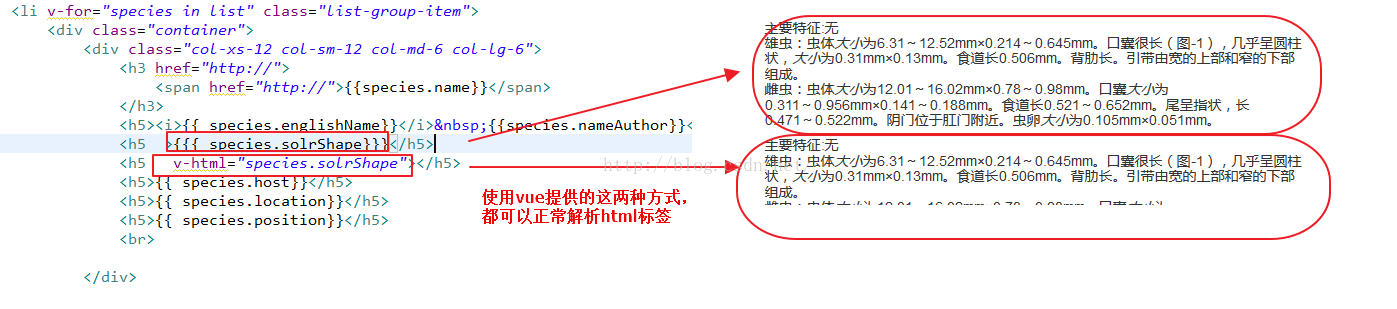 使用v Html解决vuejs渲染过程中html标签不能被解析（html标签显示为字符串）vue 页面中脚本没有生效 显示为字符串 Csdn博客 
