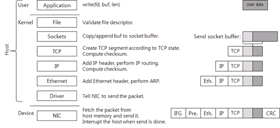 Networking Stack & Simple Network Driver 实现 & 以太网协议数据包结构_如何通过 network stack-CSDN博客