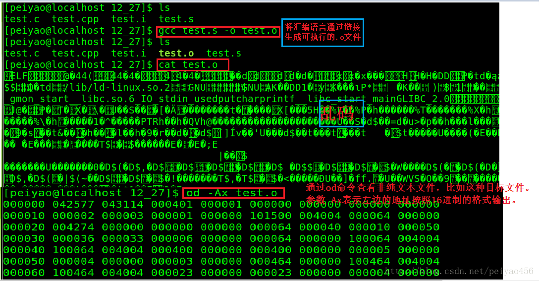 Linux下浅析程序的运行过程 Linux程序运行经过动态库不经过cpp Csdn博客