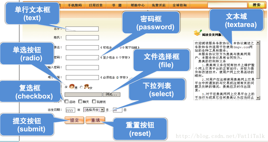 Html表单详解 Csdn博客 