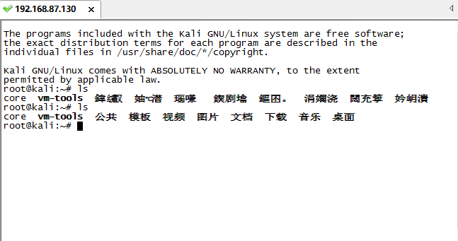Kali2 Linux系统配置_kelly linux 2-CSDN博客