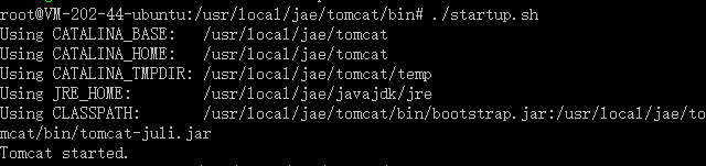 Linux(ubuntu)下tomcat的下载安装以及JavaWeb项目的部署_tomcat ubuntu版本下载-CSDN博客