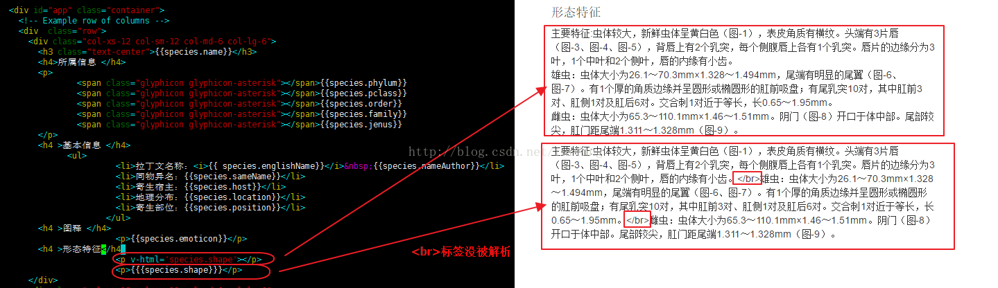 使用v Html解决vuejs渲染过程中html标签不能被解析（html标签显示为字符串）vue 页面中脚本没有生效 显示为字符串 Csdn博客 