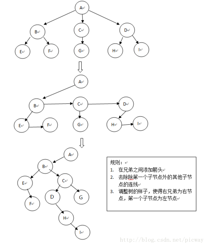 数据结构——树（2）一般树转二叉树java实现java中普通树转二叉树并且按顺序拿到所有叶子节点 Csdn博客