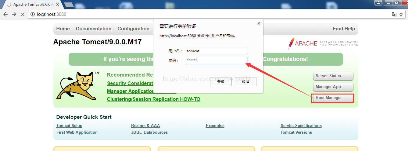 Tomcat 9访问 Host Manager Tomcat 9 Host Manager Csdn博客