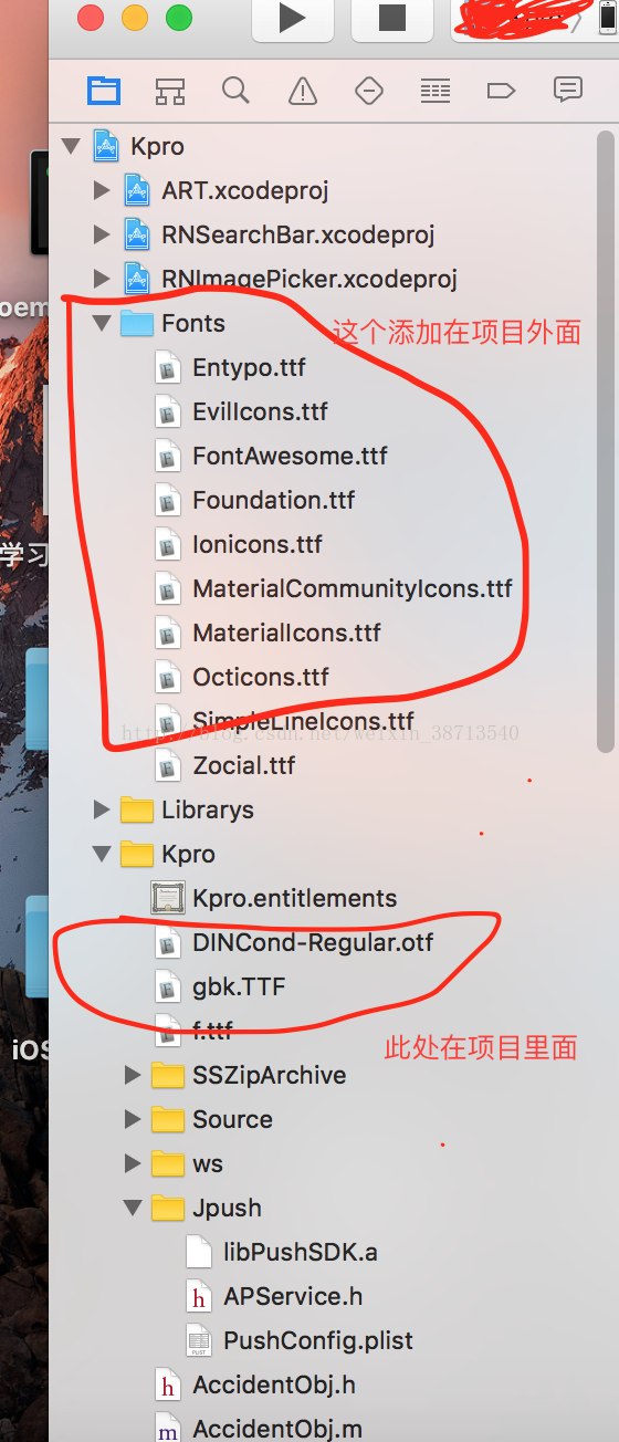 Xcode Unrecognized Font Family