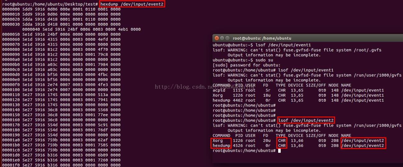 Linux内核调试之lsof命令和fuser命令 Lsof调试 Csdn博客