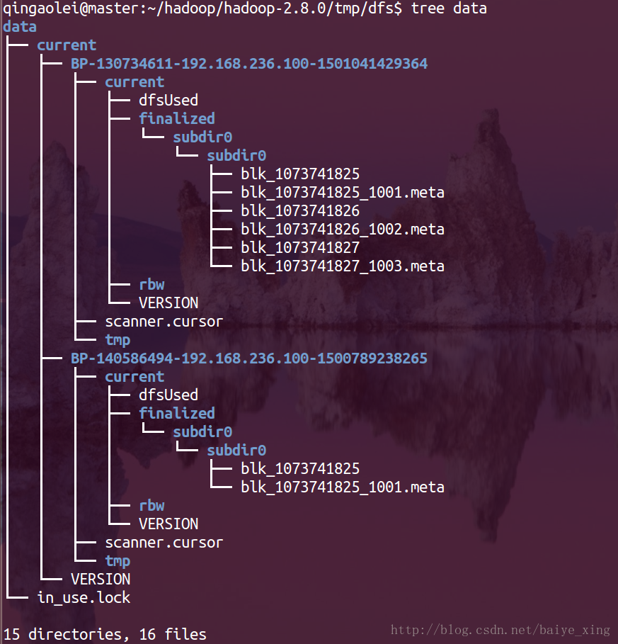 Namenodedatanodesecondarynamenode的文件结构 Csdn博客 