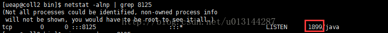 Bindexception 地址已在使用javanetbindexception Csdn博客 