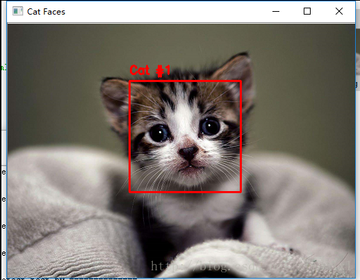 Opencv小例程——小猫检测java使用opencv识别猫咪 Csdn博客