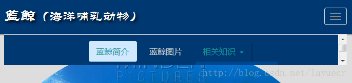 关于使用bootstrap创建导航栏的一些学习心得（dropdown二级菜单）u Dropdown实现二级栏 Csdn博客 4955
