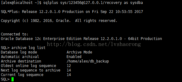 Oracle Database 12c Rman全量增量备份归档日志恢复详解oracle增量恢复 Csdn博客 