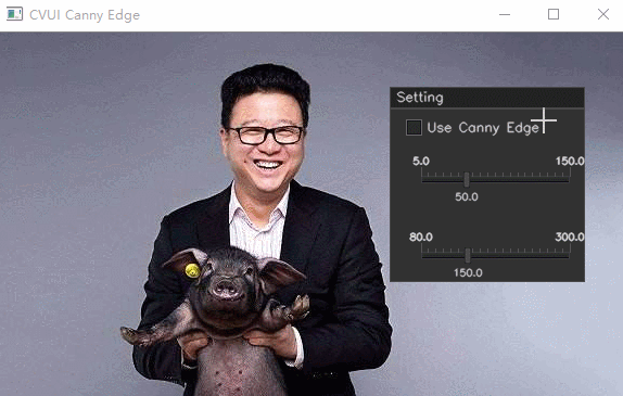 OpenCV interface (CVUI, cross-platform, more convenient than QT ...