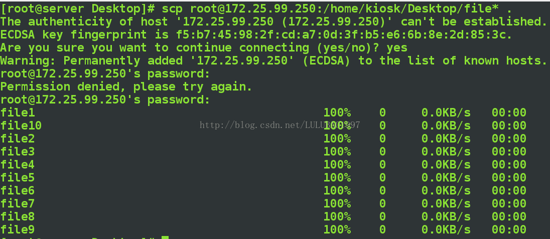 Linux下不同主机之间的文件传输cp 到其他主机 Csdn博客 