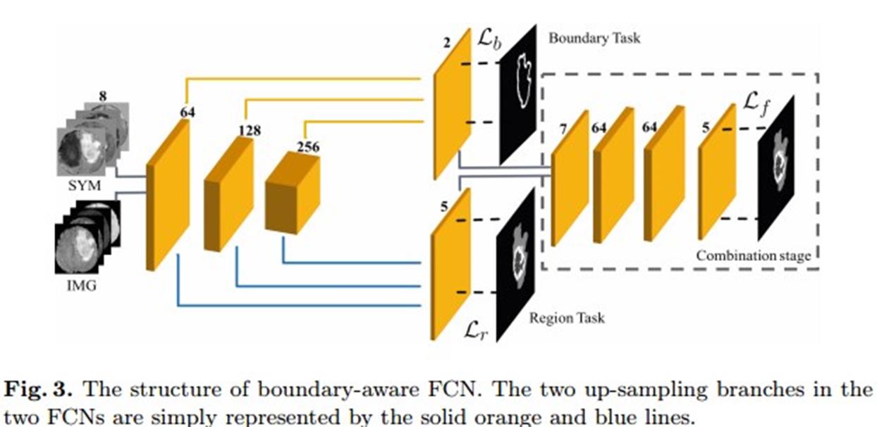 Boundary-Aware Fully Convolutional Network for Brain Tumor Segmentation论文理解_brain tumor segment ...
