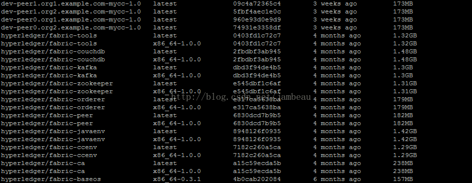 快速搭建一个fabric 10的环境fabric Docker Csdn博客 