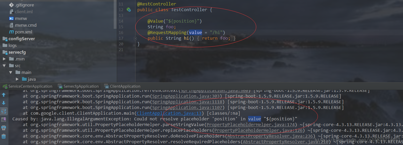 Springcloud Config 客户端无法加载到config Server配置 Could Not Resolve 