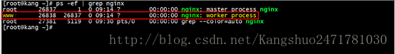 安装nginx优化与防盗链配置详解 Csdn博客 