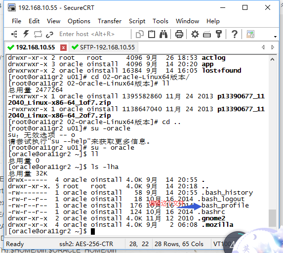 Linux下安装oracle 11g数据库详细教程linux系统安装oracle11g数据库教程 Csdn博客 7874